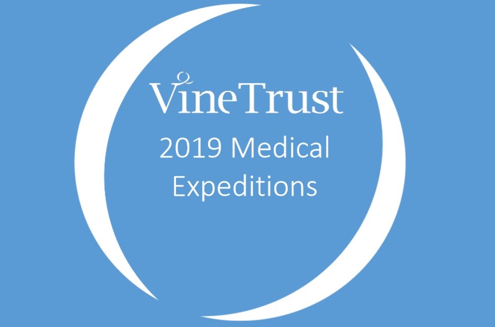 News | Vine Trust